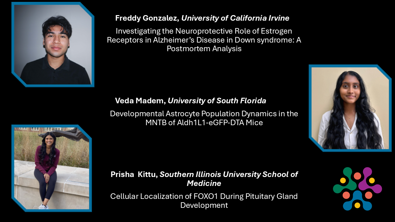 2025 Capstone Awardees